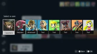 CHROMA | Switch Packs | Themezer